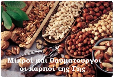 ginostimo.com, εμποριο τροφιμων,